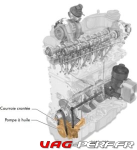 Le Moteur Volkswagen 1.6 TDI 105cv/250Nm (CAYA CAYB CAYC) - Vag-Perf