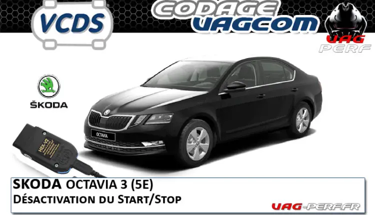 Skoda : Procédures et Codages VAGCOM VCDS - Vag-Perf