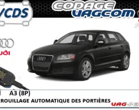 Les Codages VAGCOM : ajoutez des options, activez des fonctions cachées, personnalisez votre ...